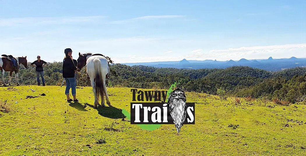 The Creation Of Tawny Trails - Running Duck Studio